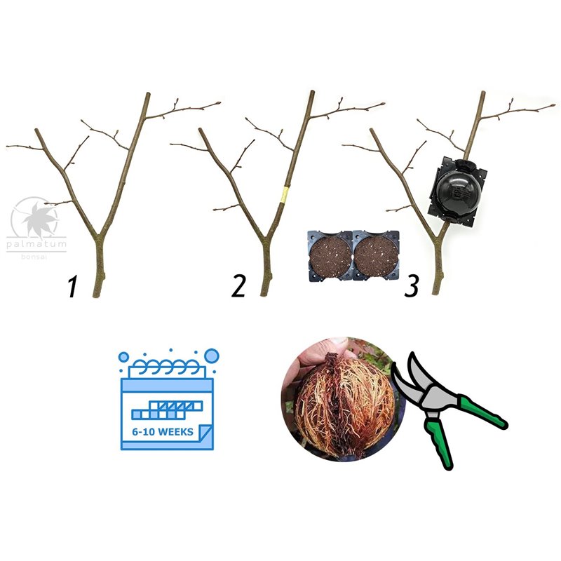 Plant rooting (air layering) ball Ø 12cm, for 12-31mm branches
